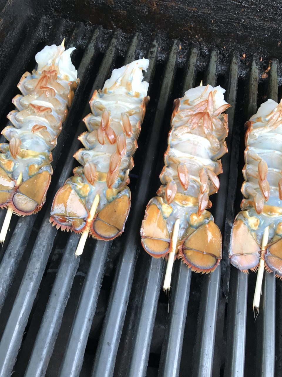 Crazy for Crustaceans: Grilled & Steamed Lobster Tails | Changing ...